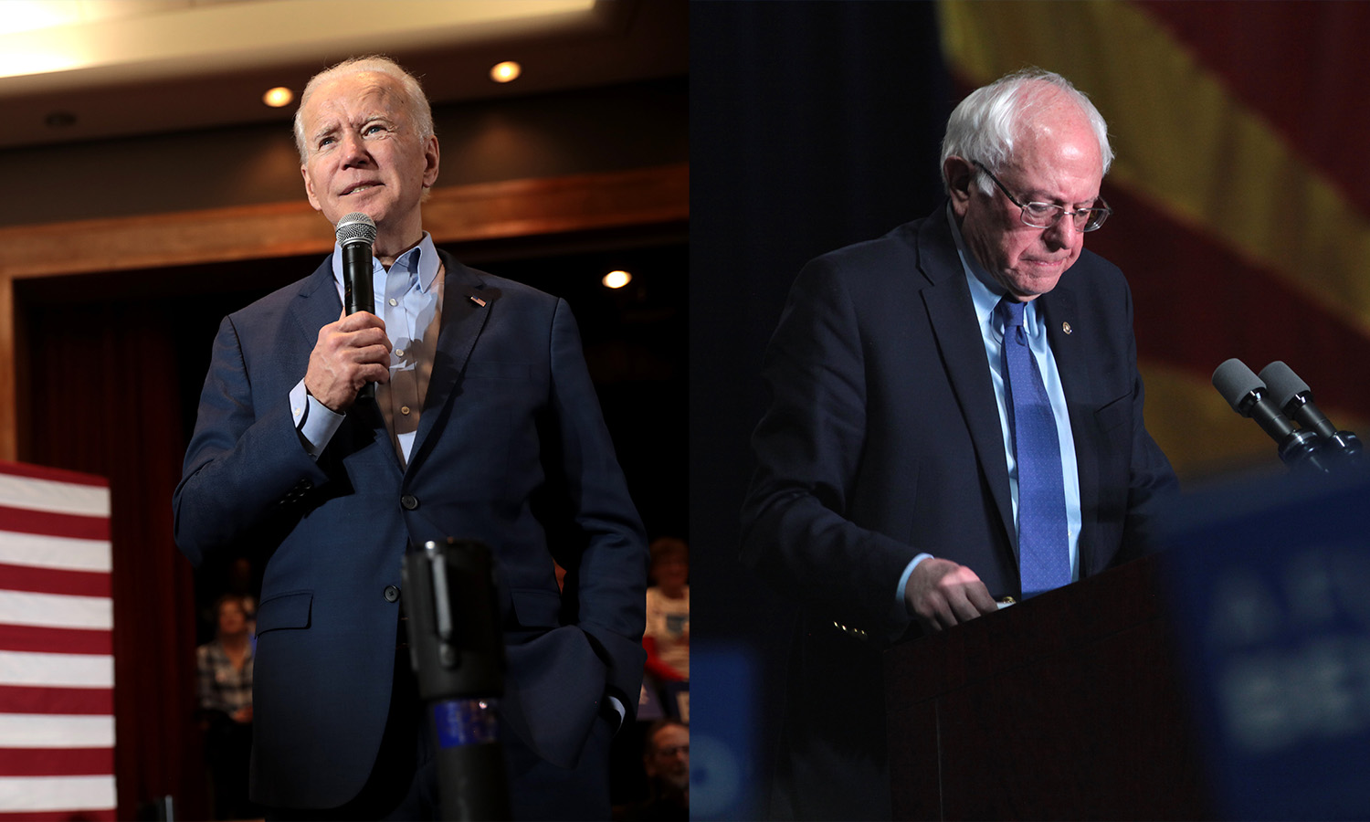 The Candidate You Like Is the One You Think Is Most Electable ...