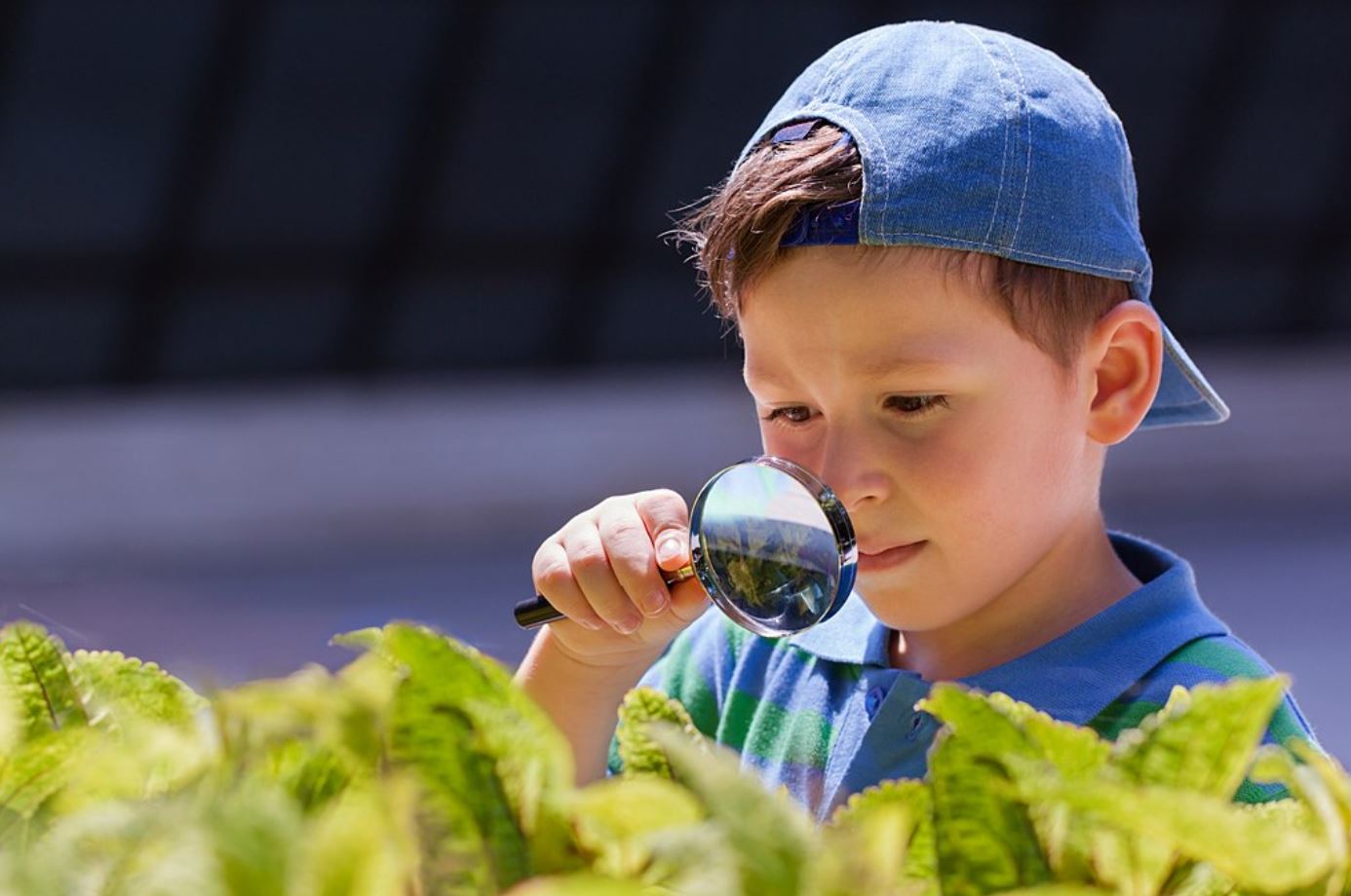 Six Everyday Ways to Raise Intellectually Curious Children ...