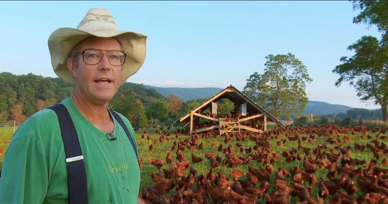 What is Distributism? - Intellectual Takeout