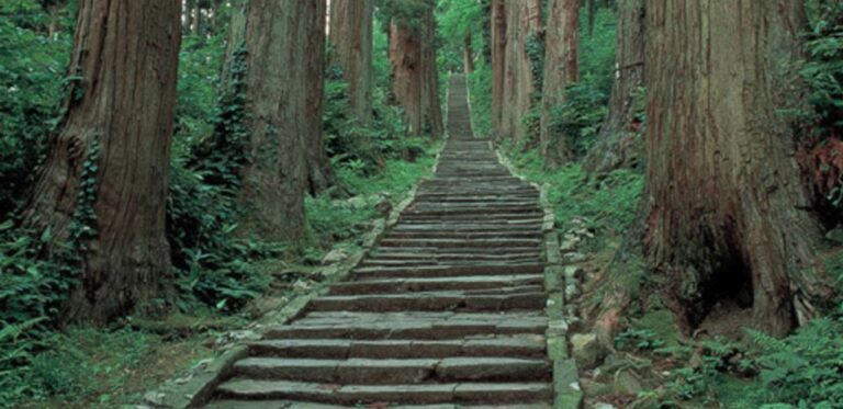 Is 'Epektasis' the Secret to Happiness? - Intellectual Takeout