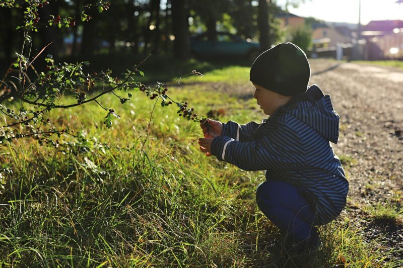 Let Your Kids Waste Some Time - Intellectual Takeout