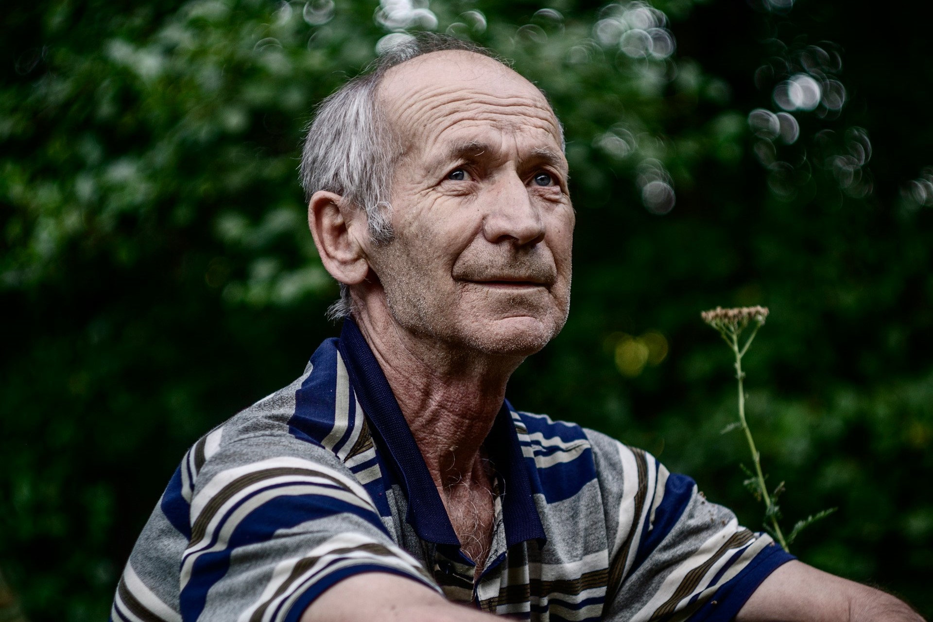 Know Thy Geezer: Hang Out With Your Local Old-Timer and Reap the ...